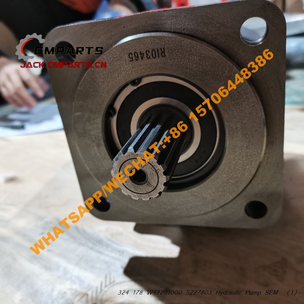 W42201000 5227803 Hydraulic Pump SEM - WEIMAN CO .,Ltd